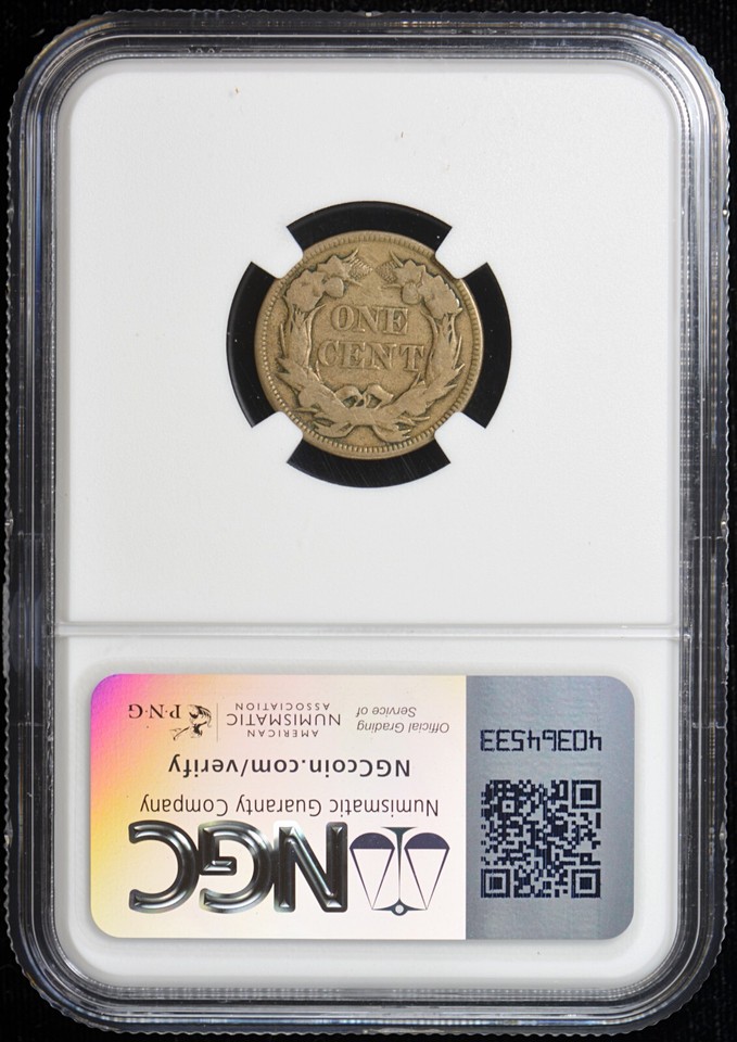 1858 Large Letters NGC F 15 U.S / United States Flying Eagle Cent 1c | eBay