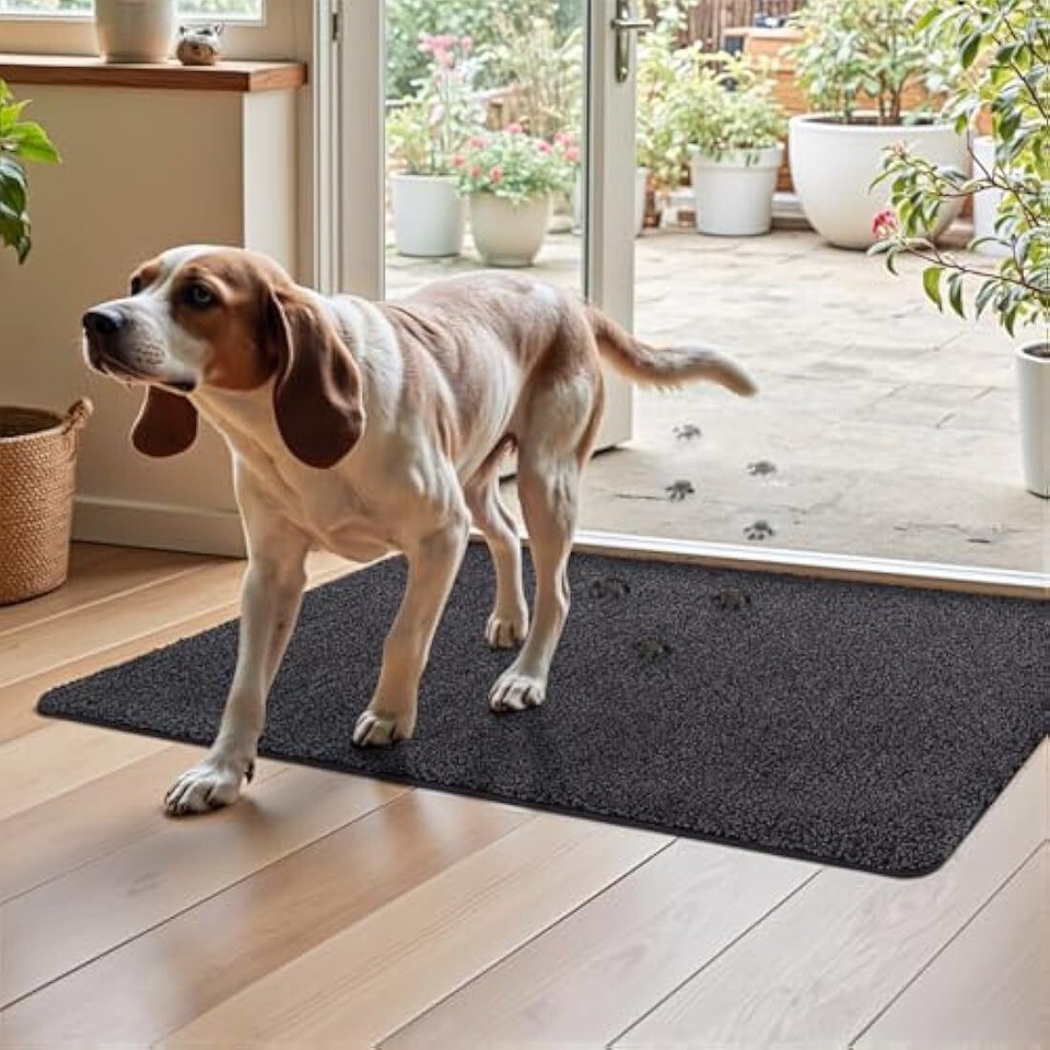 DEXI Dirt Trapper Door Mat Indoor, Non-slip Doormats Inside, Machine ...