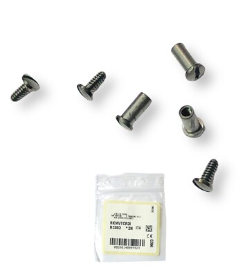 Ray Ban RB4341 Chromance Gunmetal Replacement Temple Hinge Screws ...