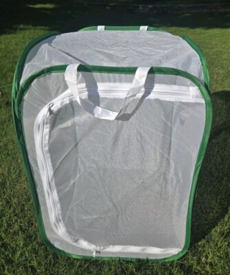 Collapsible Butterfly Moths Insects Plants Cage Mesh Habitat 24" Tall ...
