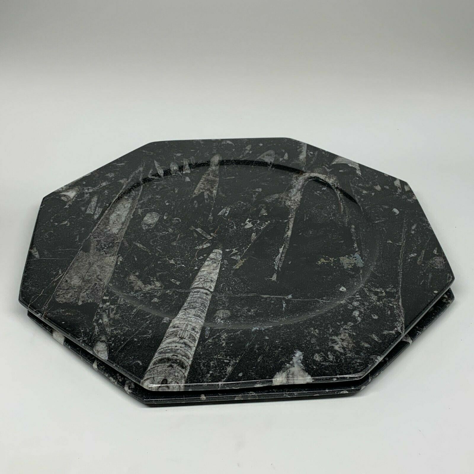 2pcs set,12" Large Octagon Shape Fossils Orthoceras Plates Black ...