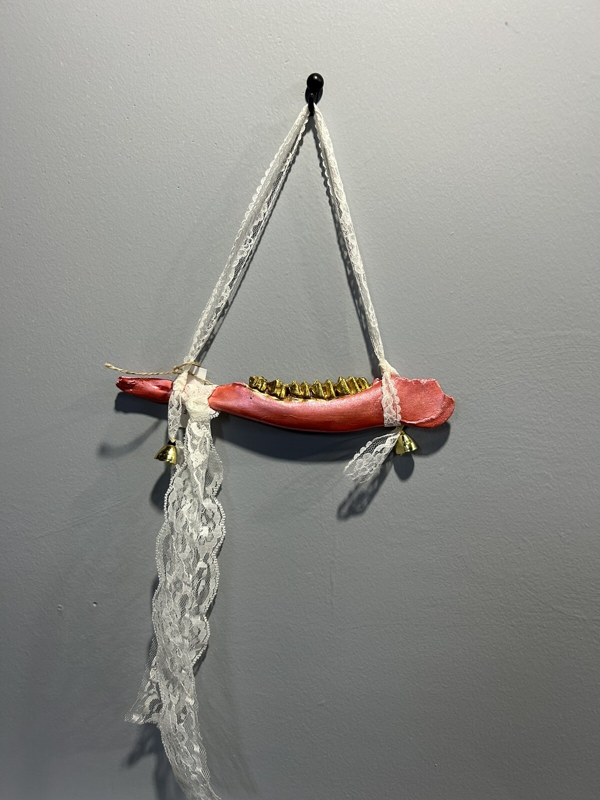 Jawbone Skull Art Weird Nature Animal Decor unique Healing Spiritual ...