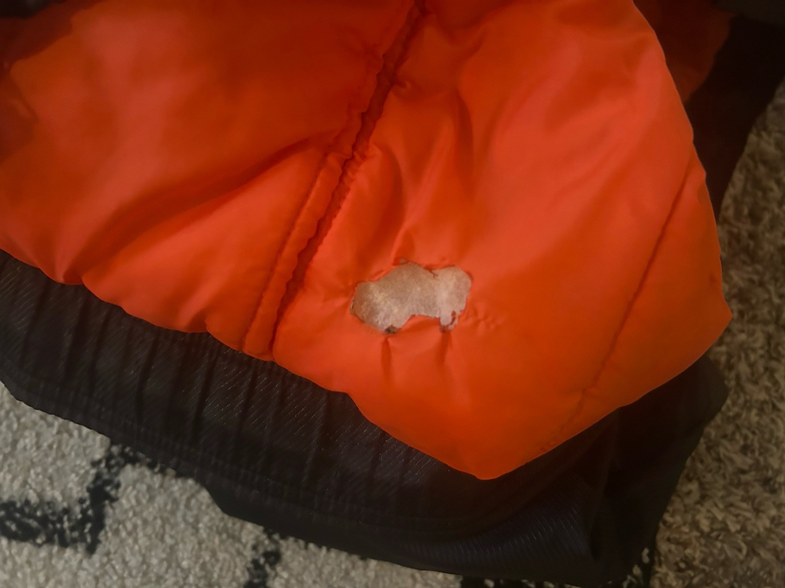 Vintage Cincinnati Bengals Starter NFL Pro Line Puffer Jacket Full Zip ...