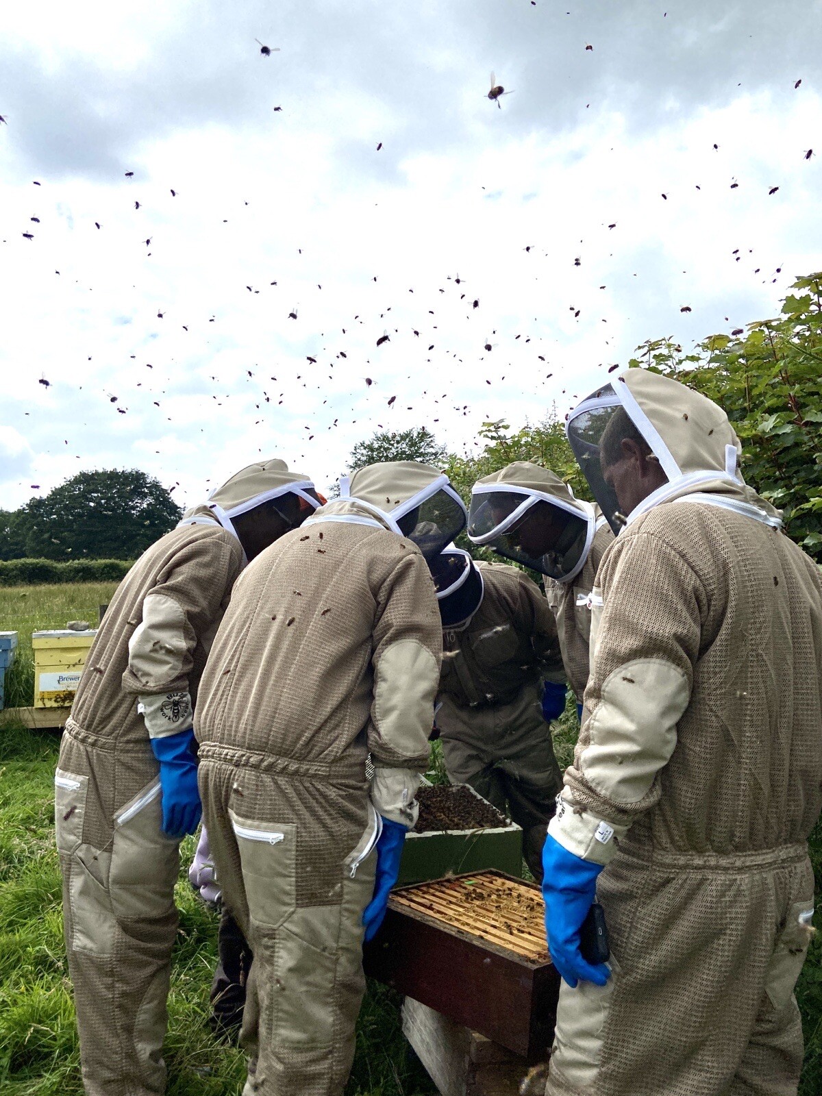 Swienty Breeze Ventilated Vented Mesh Full Adult Quality Beekeeping ...