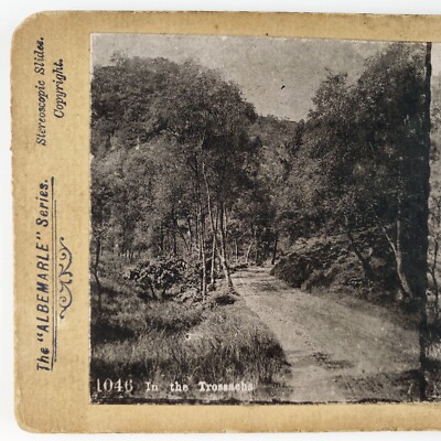 Trossachs Park Road Scotland Stereoview c1875 Antique Forest Trees ...
