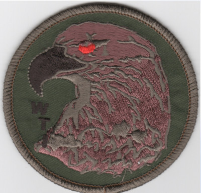 3" MARINE CORPS WTI WEAPONS TRAINING INSTRUCTOR GREEN EMBROIDERED PATCH ...