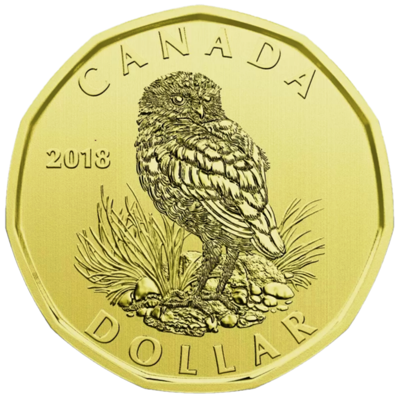 🇨🇦 Rare Canada $1 One Dollar Specimen Coin, Fauna, Birds, Burrowing Owl ...