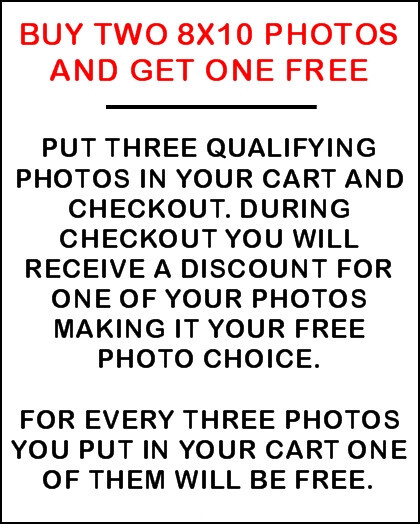 Musial Garagiola Berra Photo 8X10 - Cardinals 1960 Yankees FREE ...