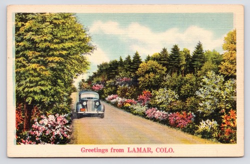c1940s-Lamar Colorado Co~Greetings Card~Forest~Car~Country Road~Vintage ...