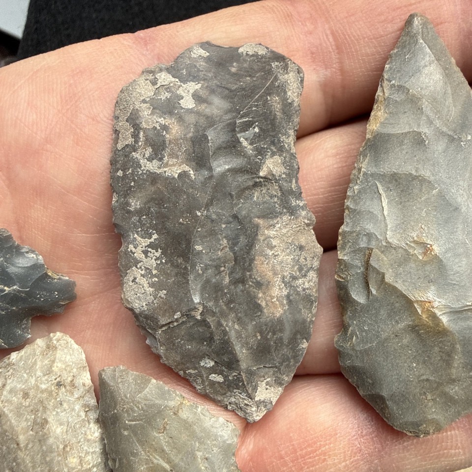 Authentic Arrowhead Collection Of Points From Barron Co KY Ex Rocky ...