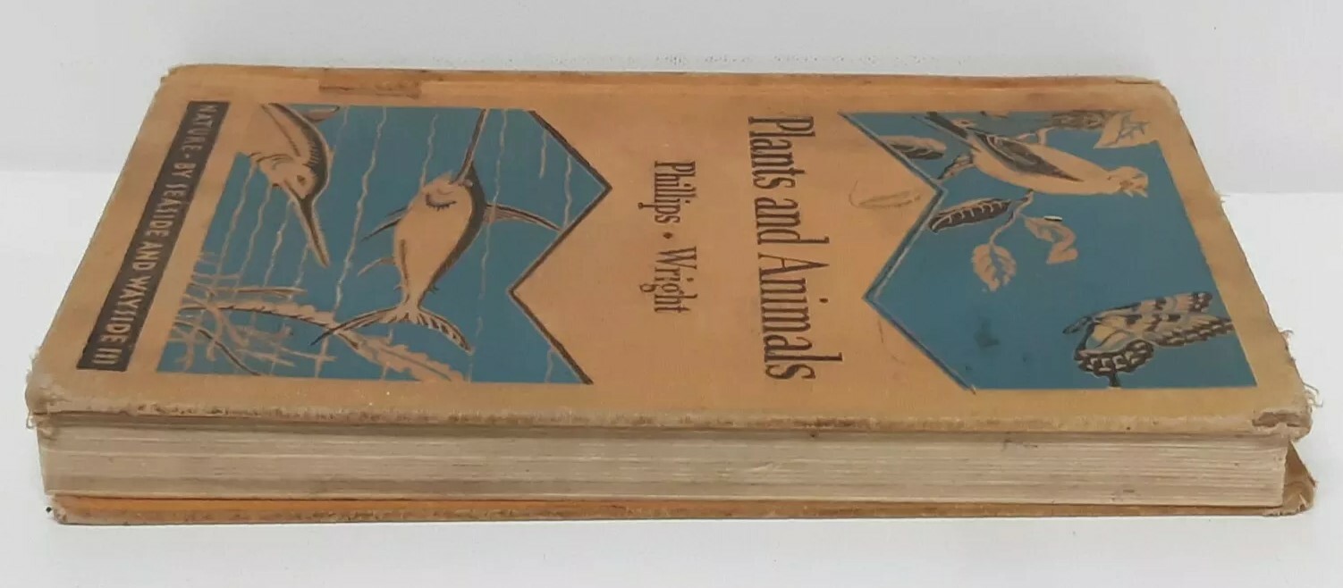 Vtg 30s 40s Elementary School Life Science Book Plants and Animals 1936 ...