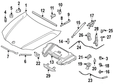 BMW 07146959925 GENUINE OEM LICENSE BRACKET SCREW | eBay