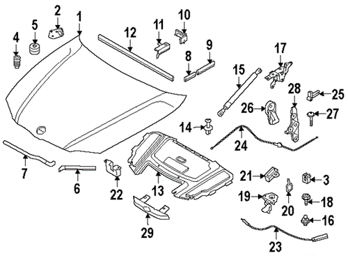 BMW 07146959925 GENUINE OEM LICENSE BRACKET SCREW | eBay
