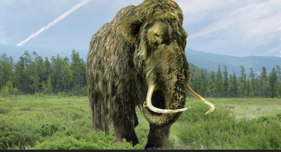 Potawatomi Indian, Wooly Mammoth, Great Mastodon Effigy Tool. Eau ...