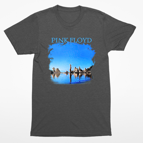 VINTAGE FEEL - Pink Floyd 1992 Merch, Faded Grey Color, Rock Band Shirt ...