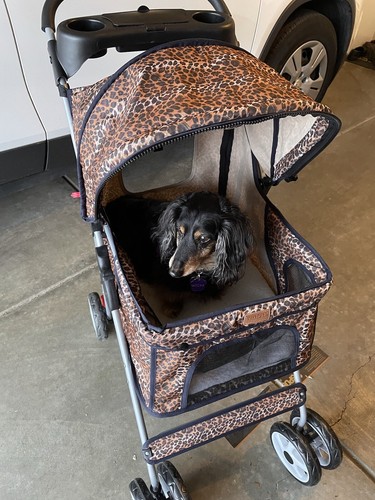 BestPet Pet Folding Carrier Stroller - Leopard Skin for sale online | eBay