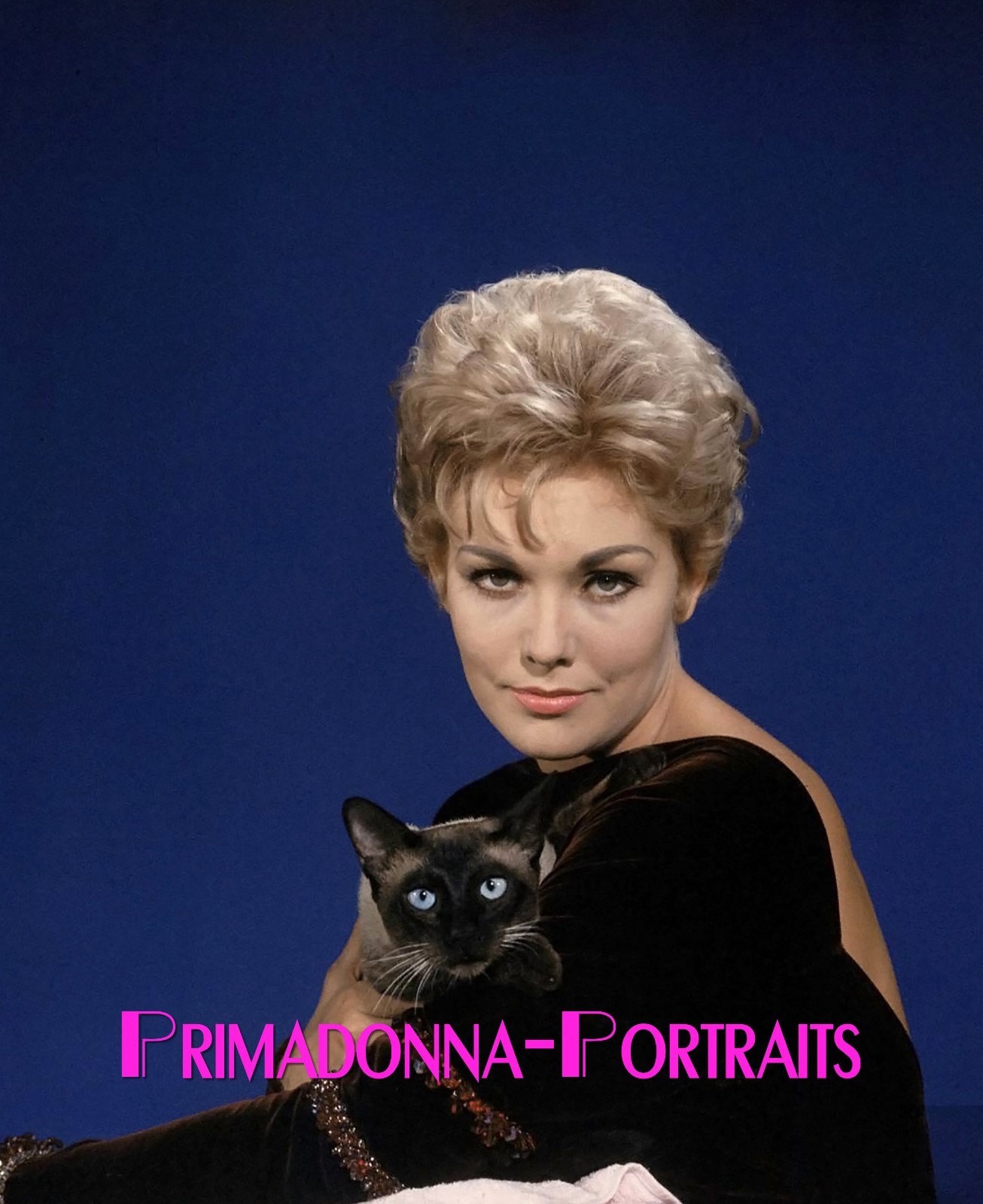 KIM NOVAK 8X10 Lab Photo 1958 Color Siamese Cat, "BELL, BOOK, & CANDLE ...