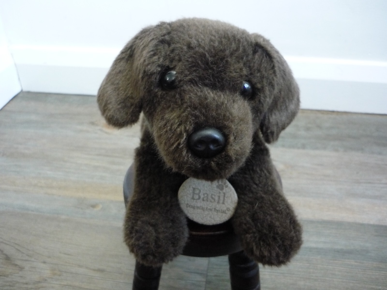 Keel BASIL Chocolate Brown Labrador Puppy Dog Collar/Name Tag Soft ...