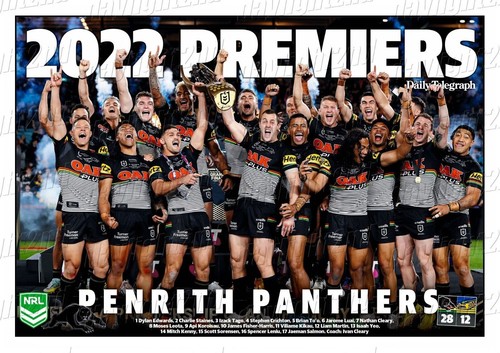 Framed 2022 PENRITH PANTHERS NRL Premiers Poster - 84cm x 59.5cm x 3cm ...