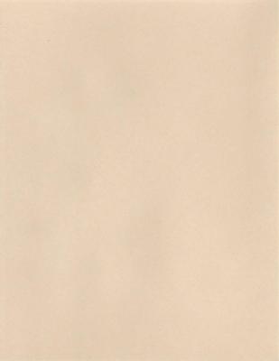 (100 PACK) Blank NRA Tagboard Paper Target Backers, choice of size | eBay