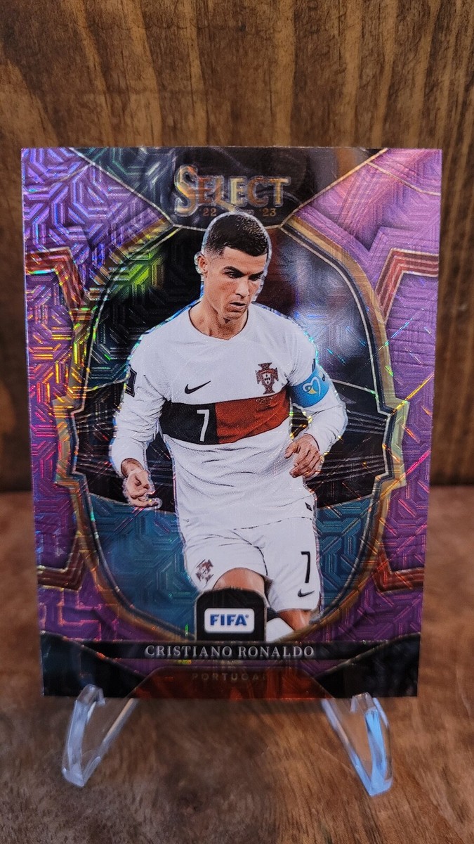 FIFA SELECT PANINI occer