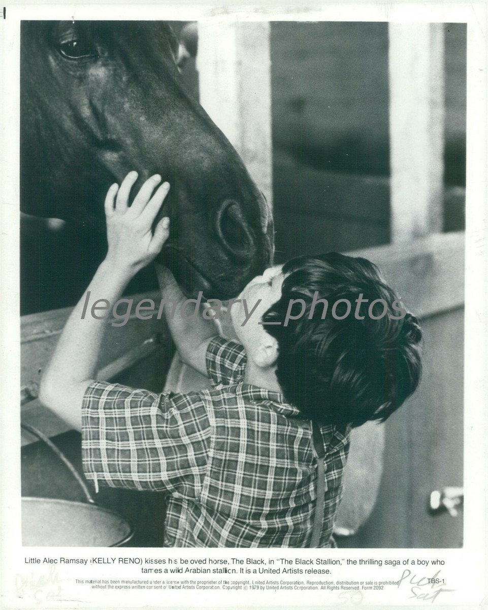 Black Stallion Kelly Reno THE BLACK STALLION SPANISH (38.5"X 27")