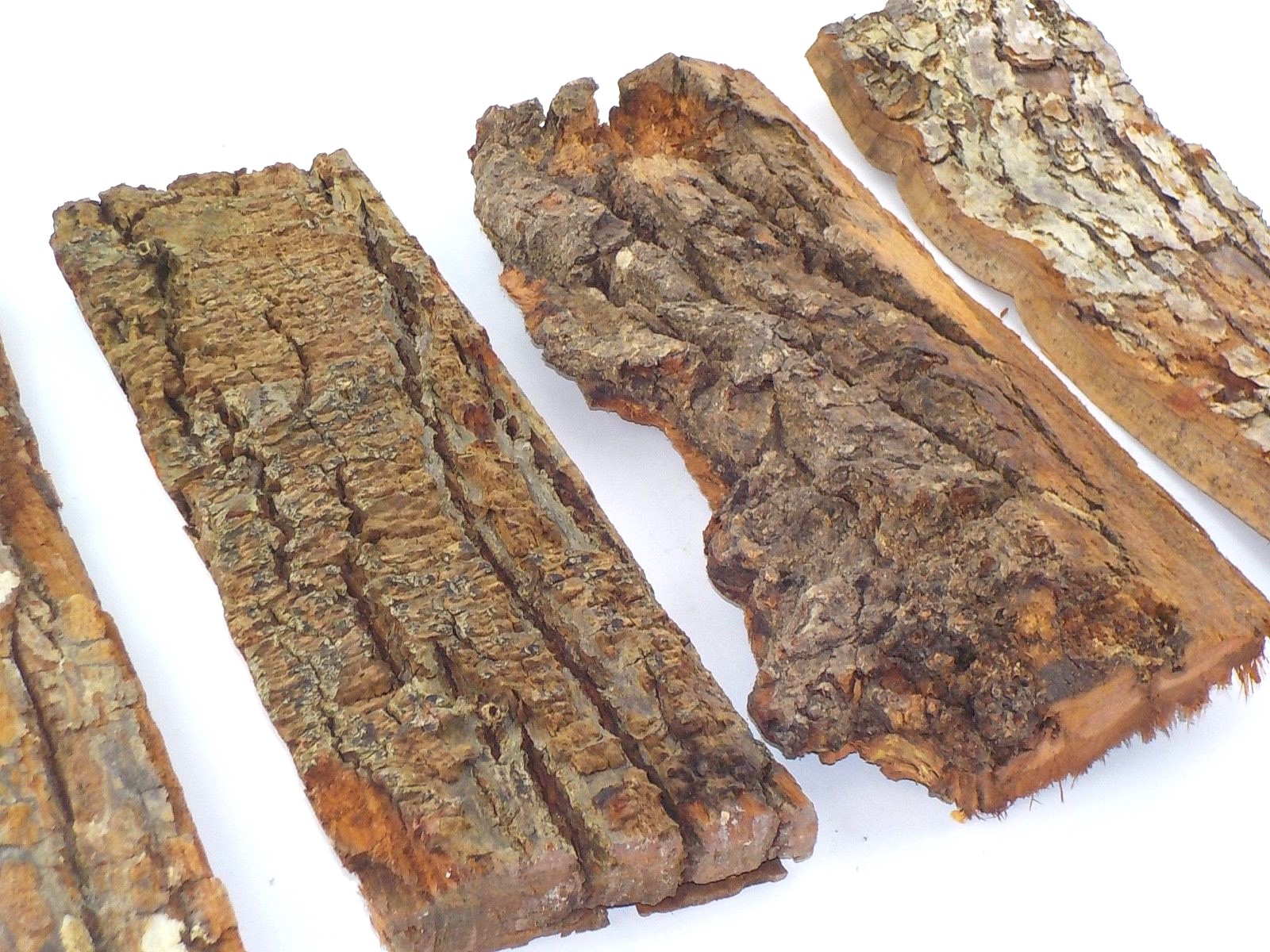 4 Tree bark pieces for floristry, model making diorama. texture rock ...
