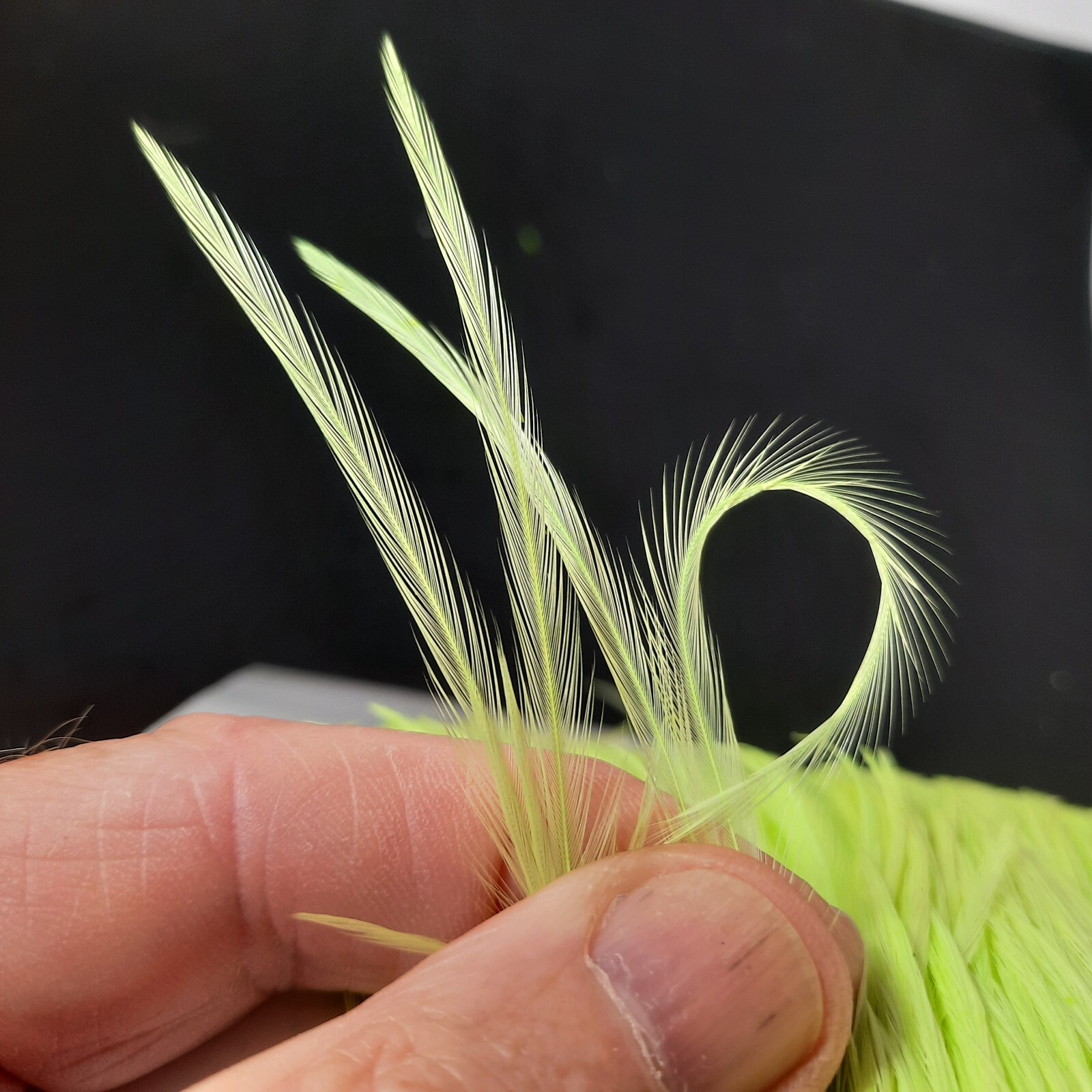 Dry Fly Hackle Cape Neck Grizzly, Cream, Olive, Blue Dun, Olive Dun ...