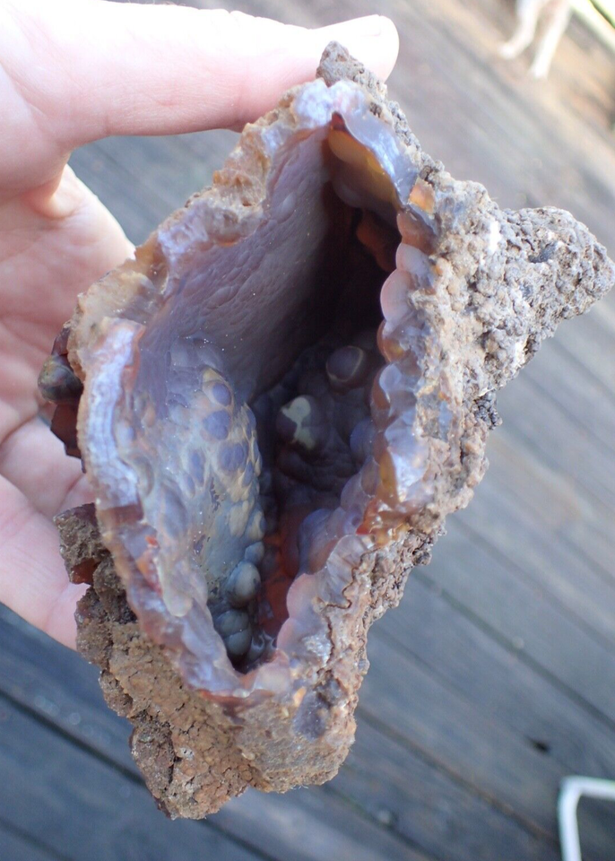Botryoidal Fossil Coral Geode Georgia Agate Amber Specimen Collection ...