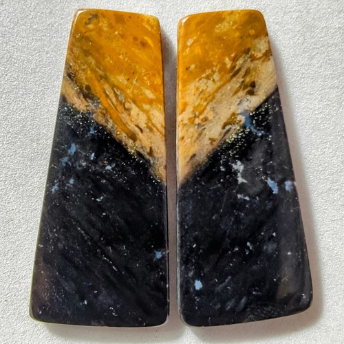 28.50 Cts Natural Fossilized Palm Root Match Pair Cabochon Gemstone 31. ...