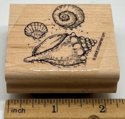 Beach Sea Shell conch nautilus scallop Rubber Stamp Stampin’ Up! ALONG ...