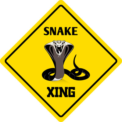 *Aluminum* Snake Crossing Funny Metal Novelty Sign 12"x12" | eBay