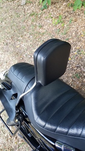 Protac Driver Backrest for Haley Davidson Sportster for sale online | eBay