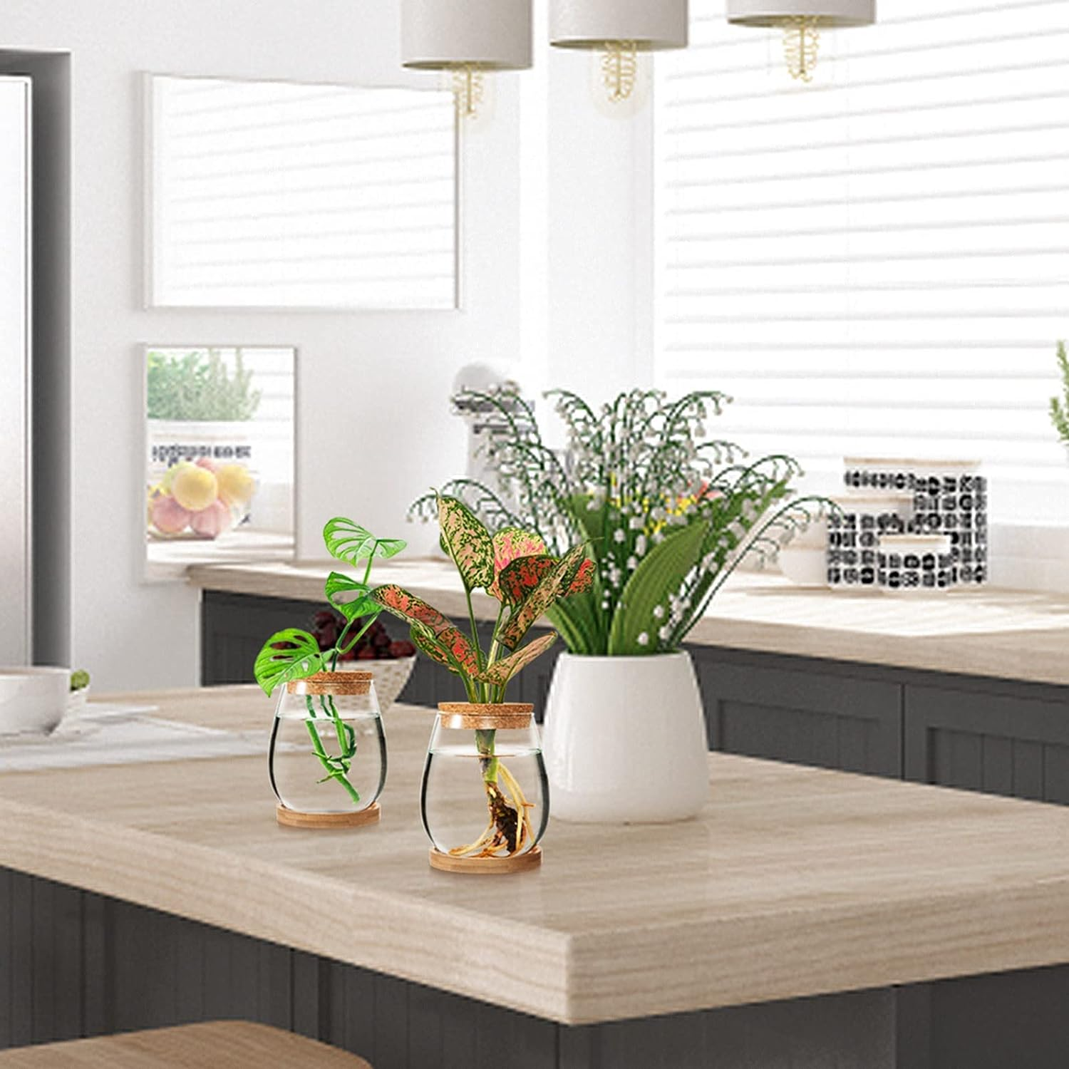 2 Pcs Separated Desktop Plant Terrarium Plant Propagation Planter Water ...