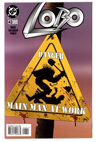 Lobo #43 VF+ 8.5 1997 Carl Critchlow Cover | eBay