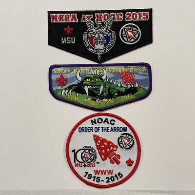 OA 2015 NOAC 100 yrs NESA, GRAND HODAG AND OFFICIAL ROUND PATCHES MINT ...
