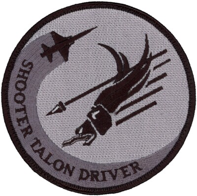 USAF 25th FLYING TRAINING SQUADRON PATCH - T-38 SHOOTER TALON DRIVER | eBay