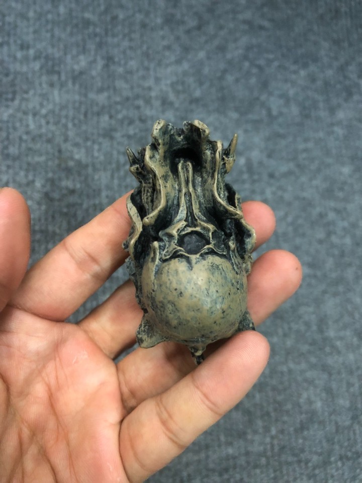 1/6 Hot Toys MMS76 Predator 2 Lost Predator Bone Trophy for Action ...