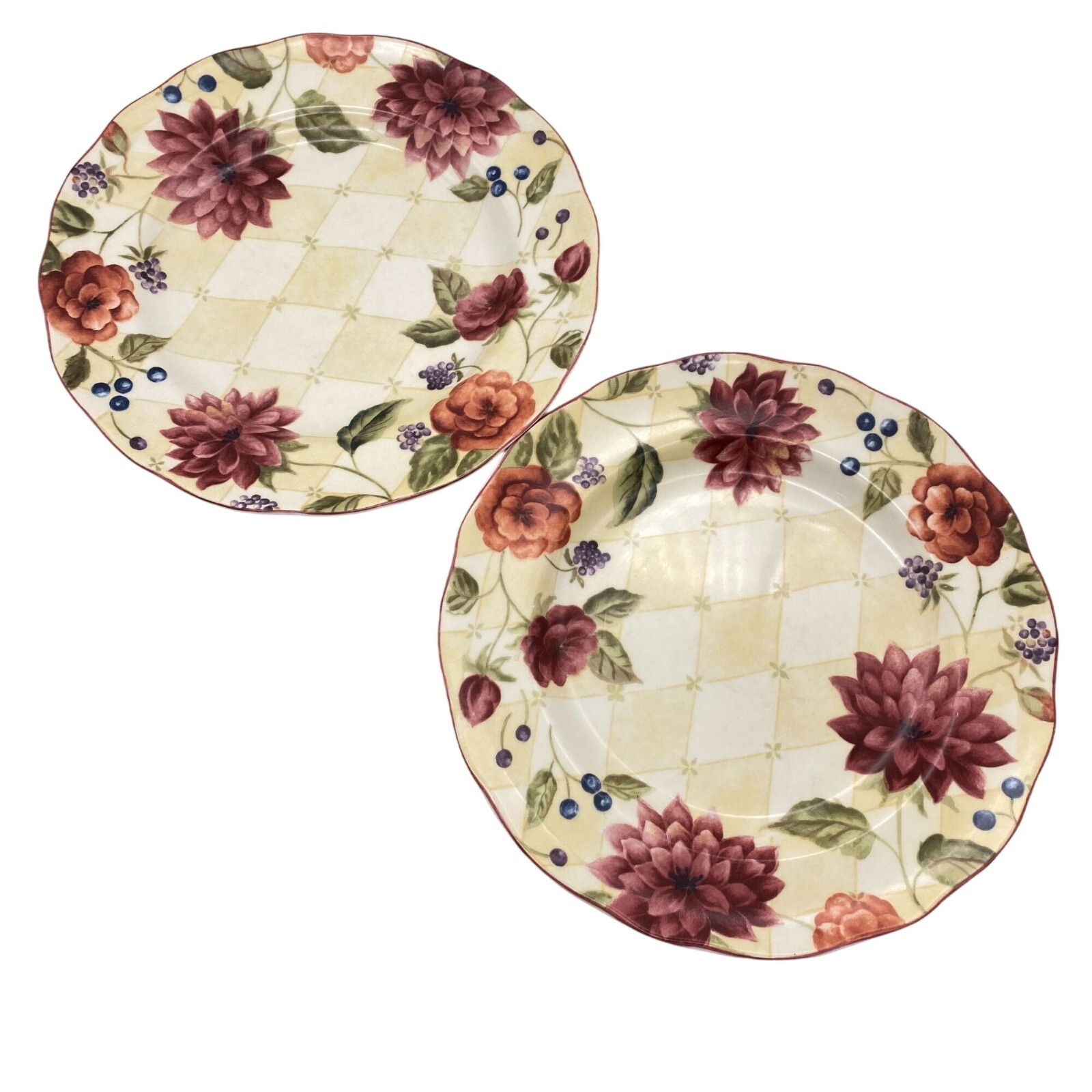 Noble Excellence Splendor dinner Plates Lattice Country chic chintz set ...