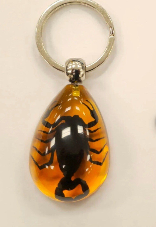 Real Black Scorpion Keychain in Amber Resin | eBay