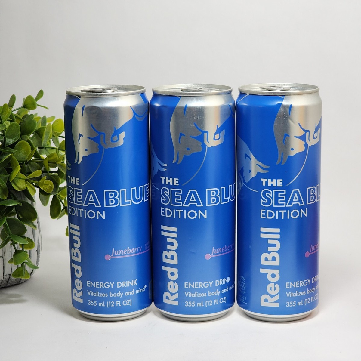 Red Bull Wassersport Red Bull Summer Edition 2024 Curuba