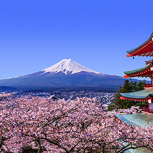 High Brand Tokyo | eBay Stores