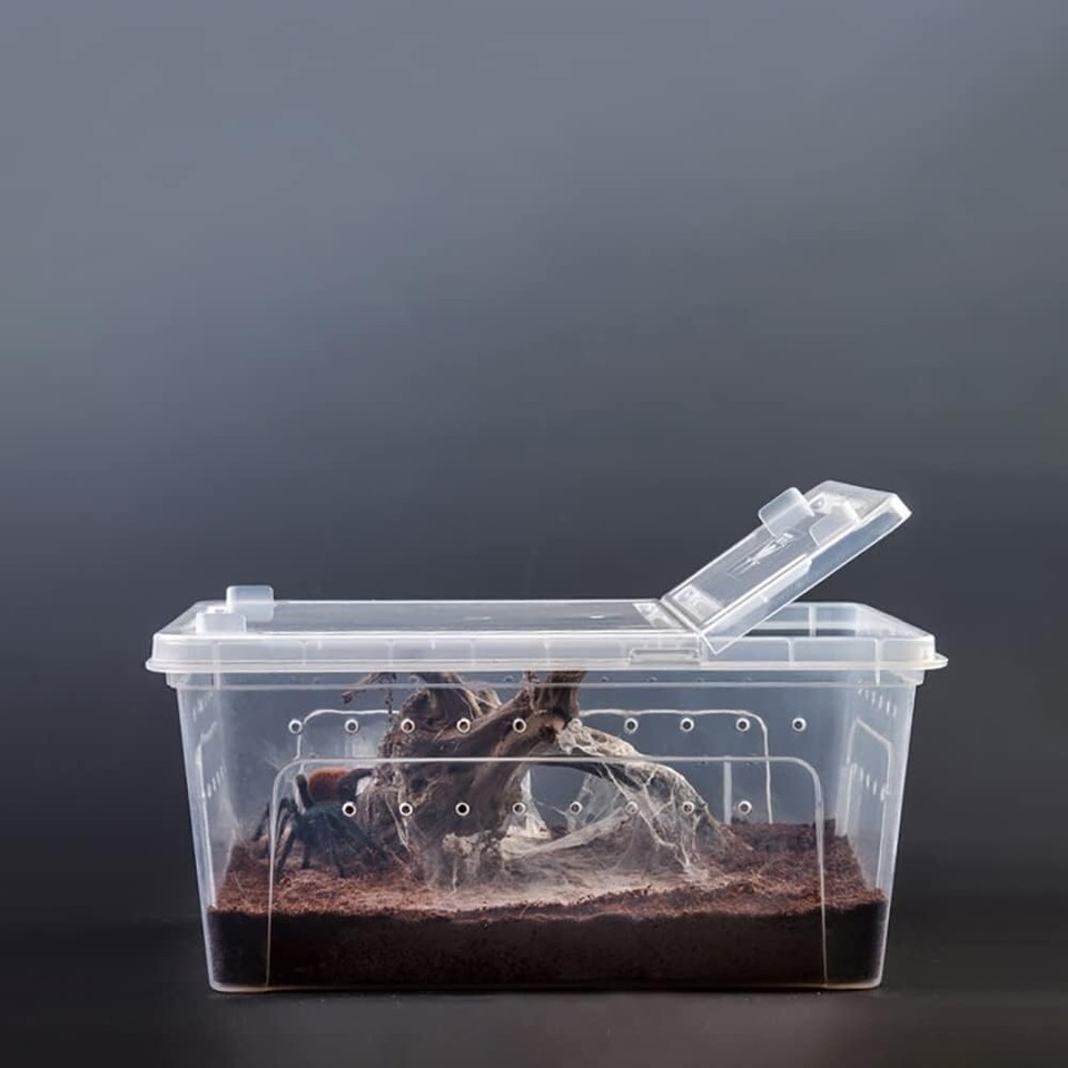 Reptile Transport Container Box Plastic Snake Breeding Feeding Box 2 ...