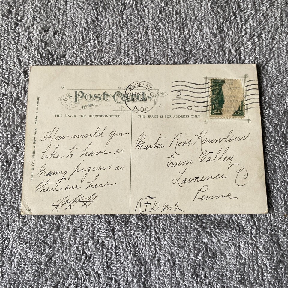 1908 California CA Largest Pigeon Ranch Postcard Old Vintage Free ...