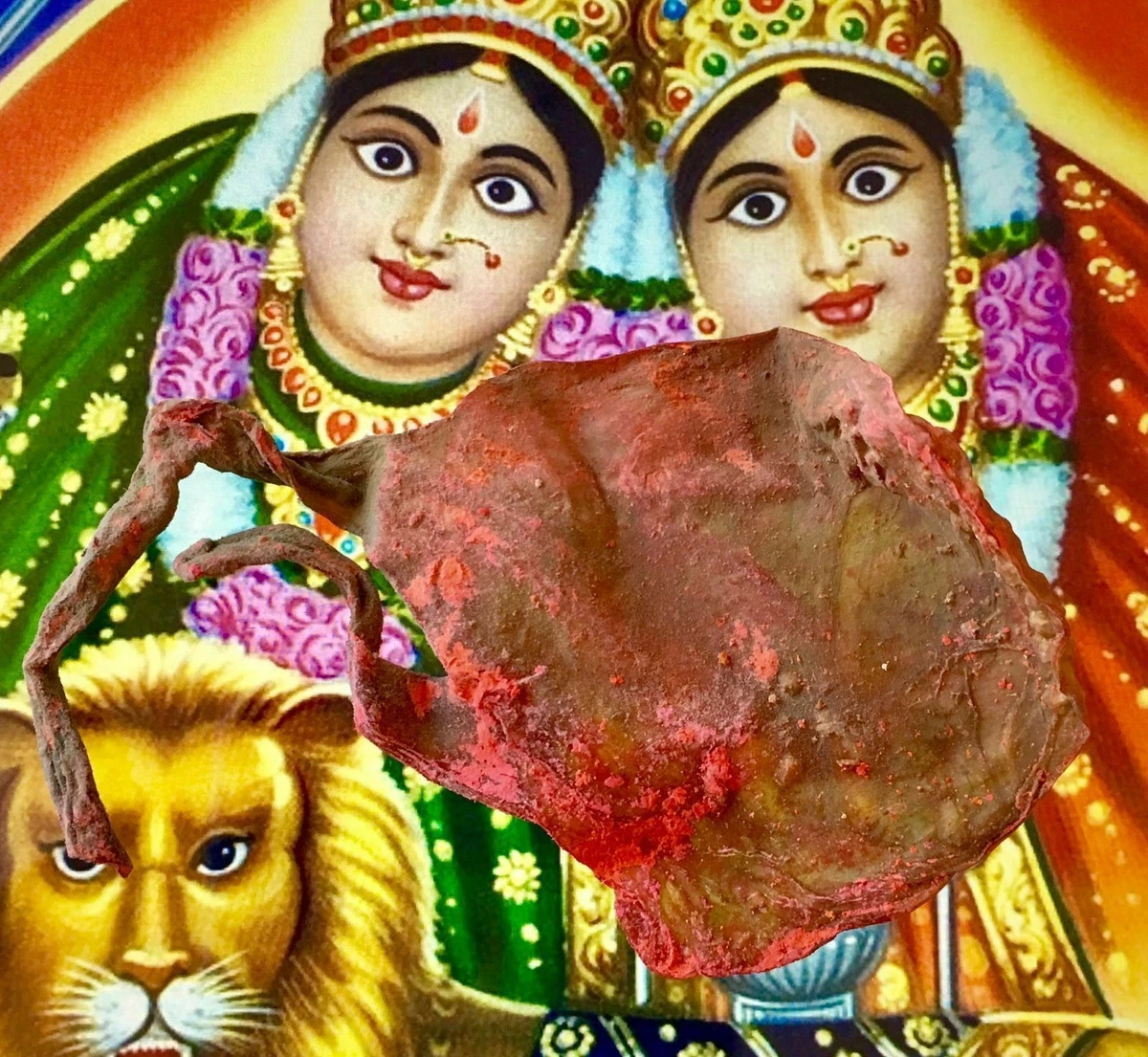 Siyar Singhi Flower Test | Best Flower Site