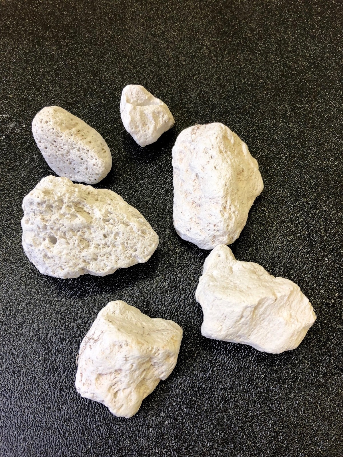 1 gal Premium Quality Pumice Filter Media for Koi Pond, Bakki Shower ...