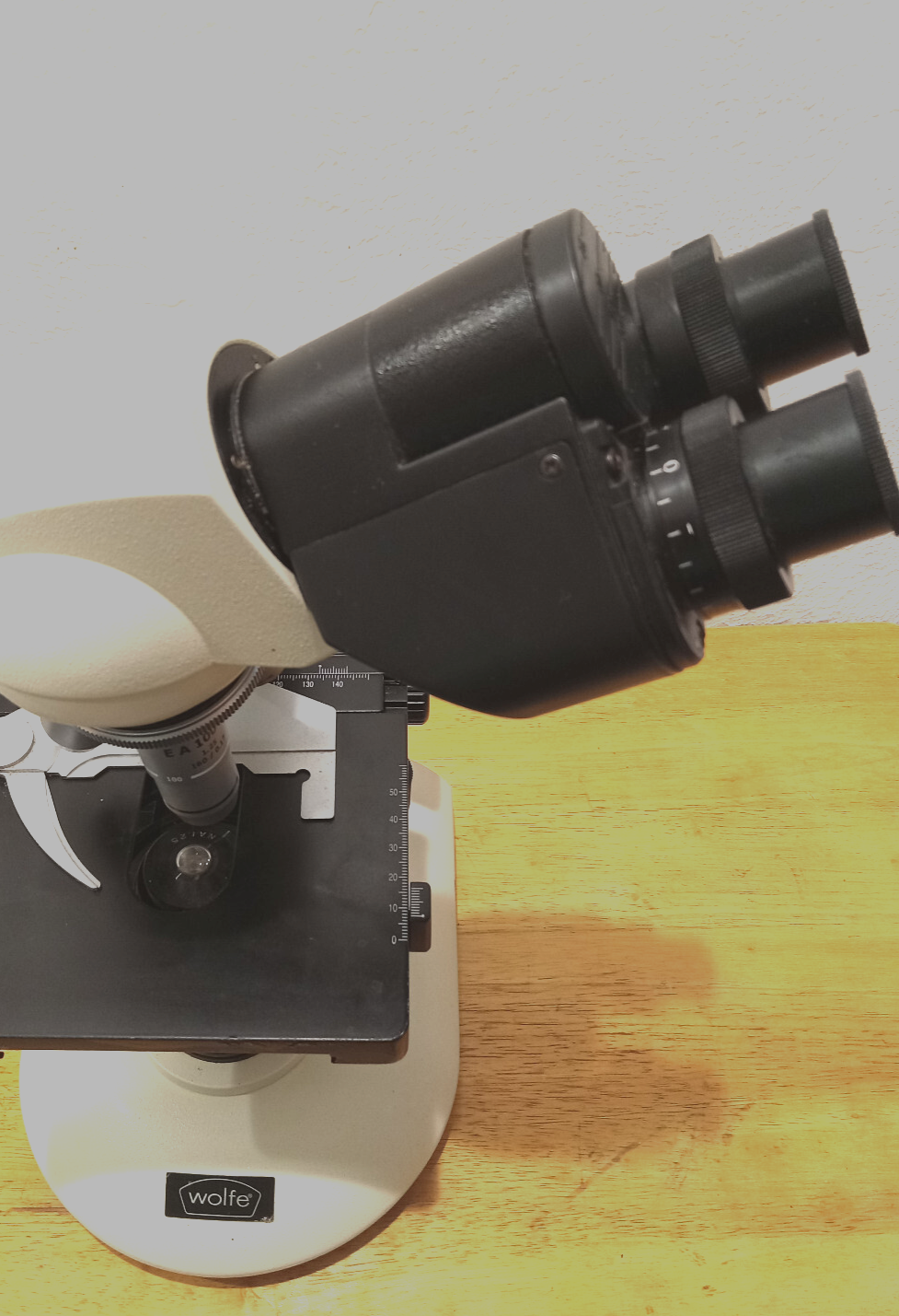 Wolfe LED Binocular Microscope (Carolina Contour) | eBay
