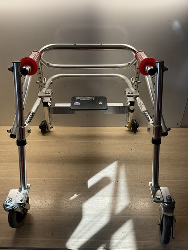 Kaye Posture Control Walker W1B-RS - LOCAL PICK UP / FRA536 | eBay