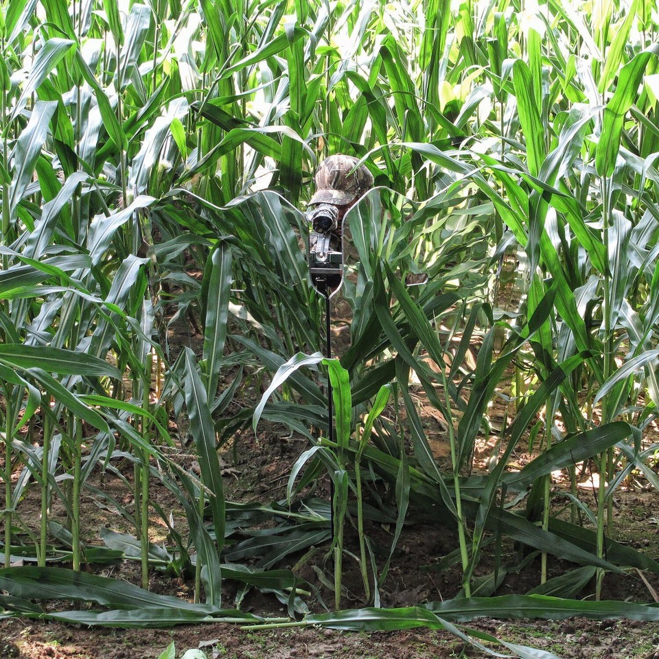 GhostBlind Predator Ultimate Set Package Bundles | eBay