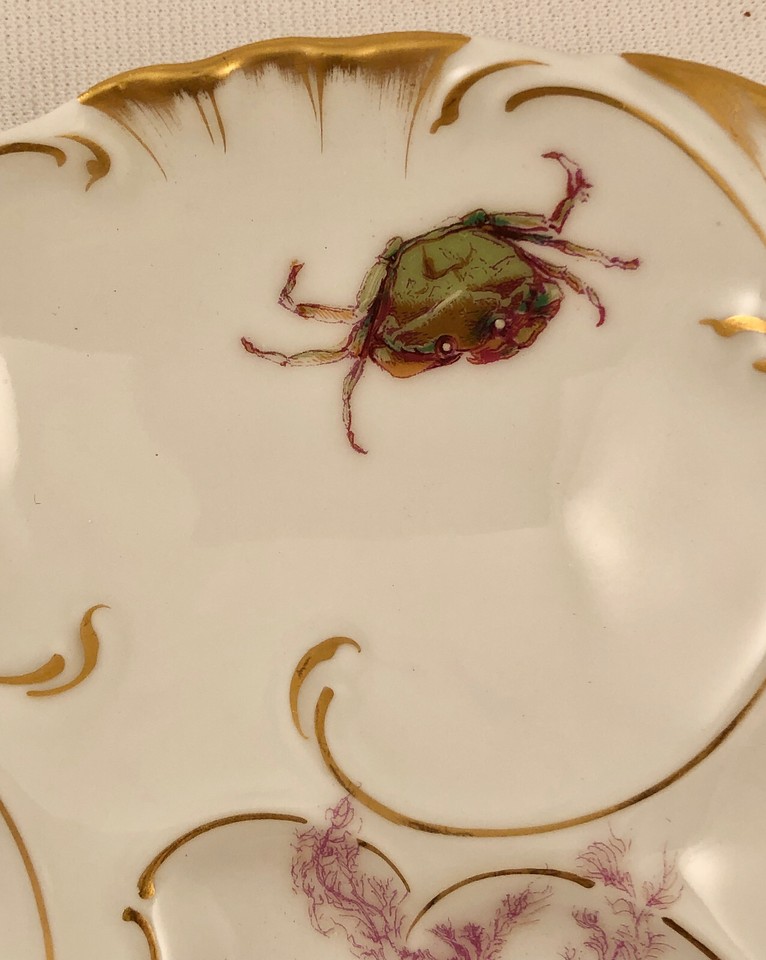 Haviland & Co. Limoges Oyster or Clam Plate, Sea Life | eBay